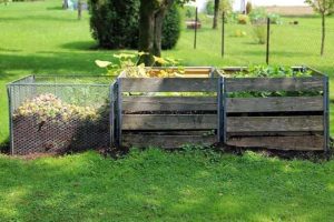 Humus vs Compost: Are They Same Or Different? – Swipe Garden