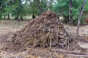 How To Store Compost? 9 Tips For The Best Storing